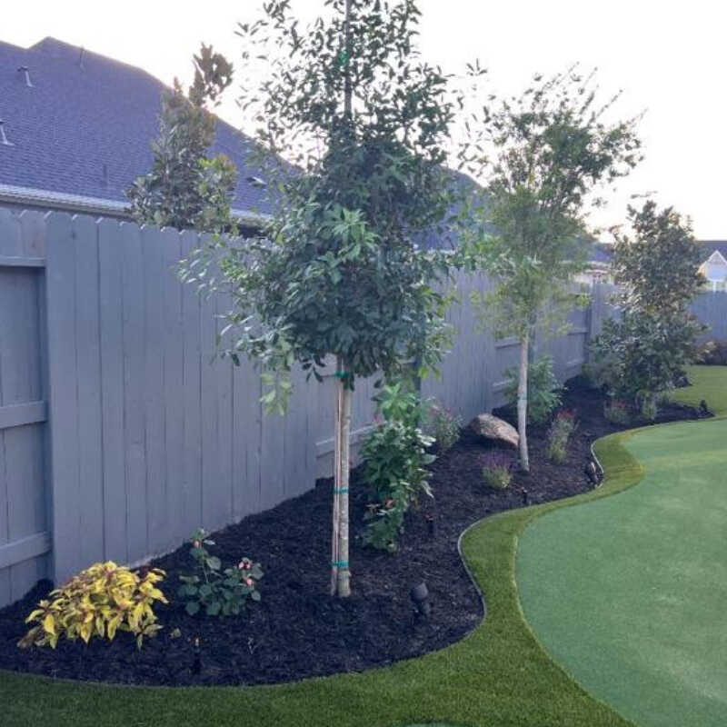 Professional Landscaping Service in Houston,TX - Henry's Houston Greens LLC