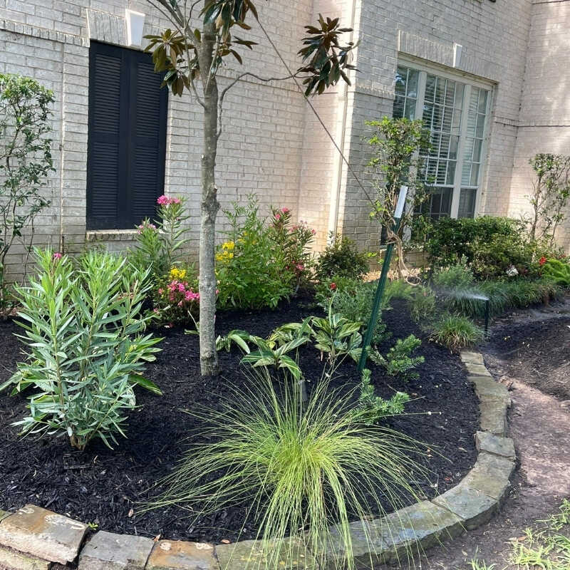 Professional Landscaping Service in Houston,TX - Henry's Houston Greens LLC